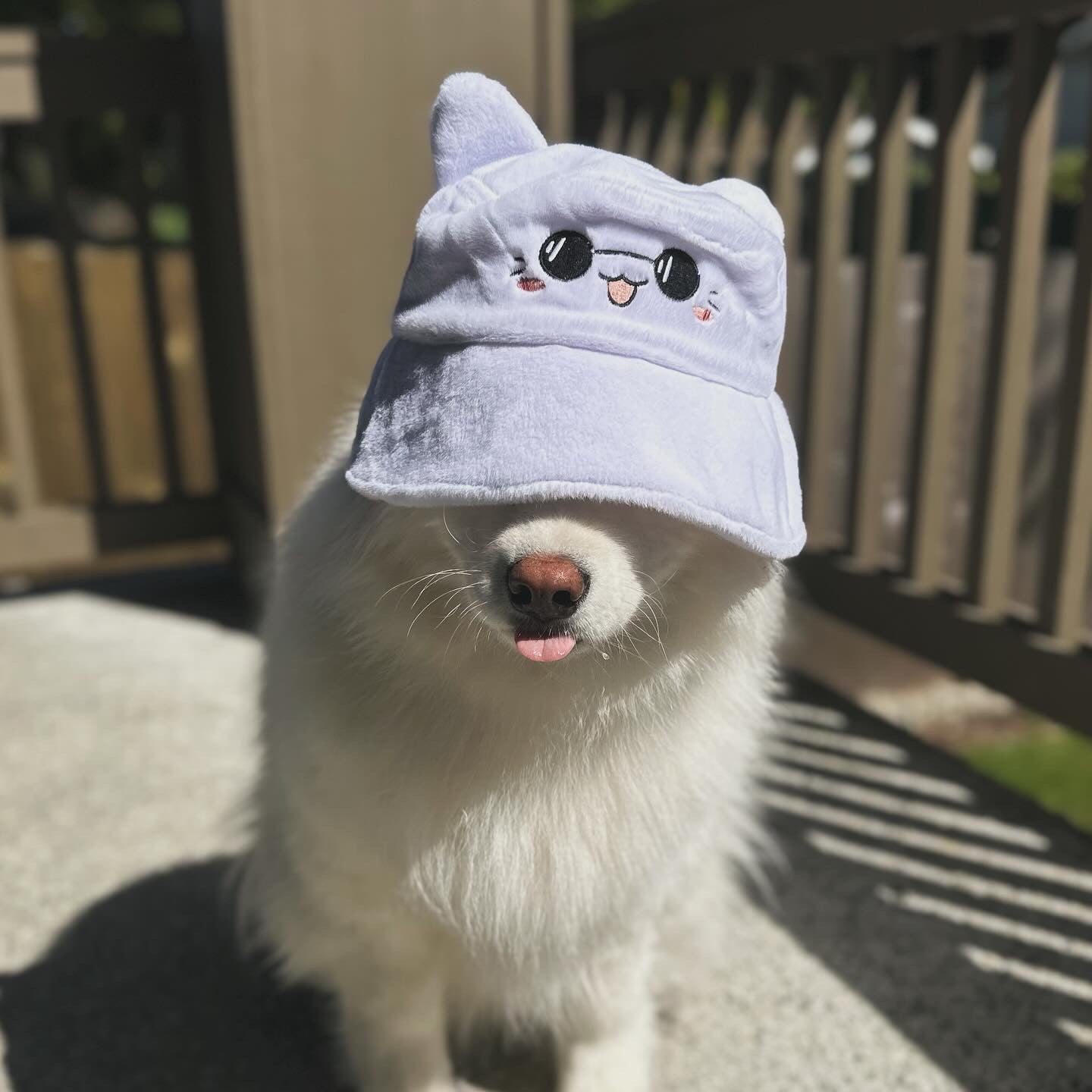 Gojo Floof Bucket Hat – Biscuitfloof